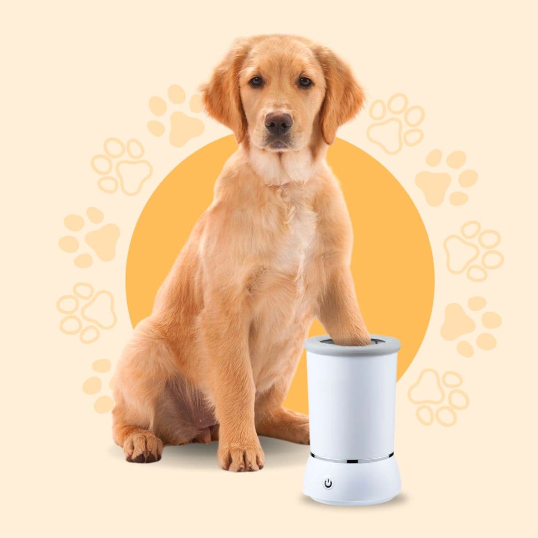 Начало - PetsLover